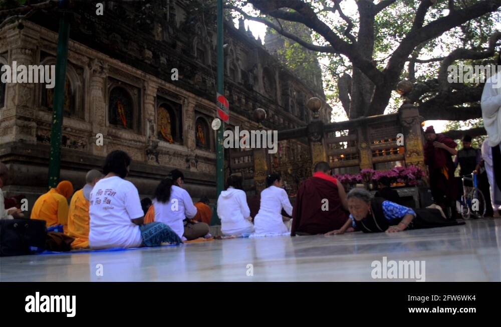The sacred bodhi tree bodh gaya Stock Videos & Footage - HD and 4K ...