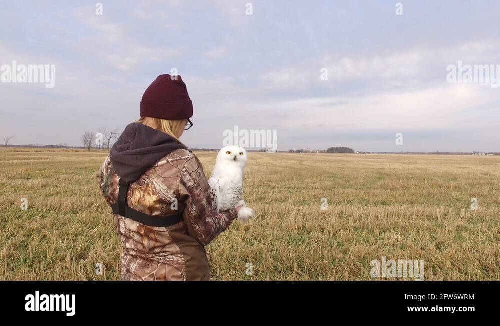 Predatory approach Stock Videos & Footage - HD and 4K Video Clips - Alamy