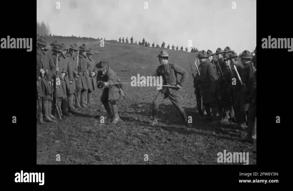 Wwi bayonets Stock Videos & Footage - HD and 4K Video Clips - Alamy