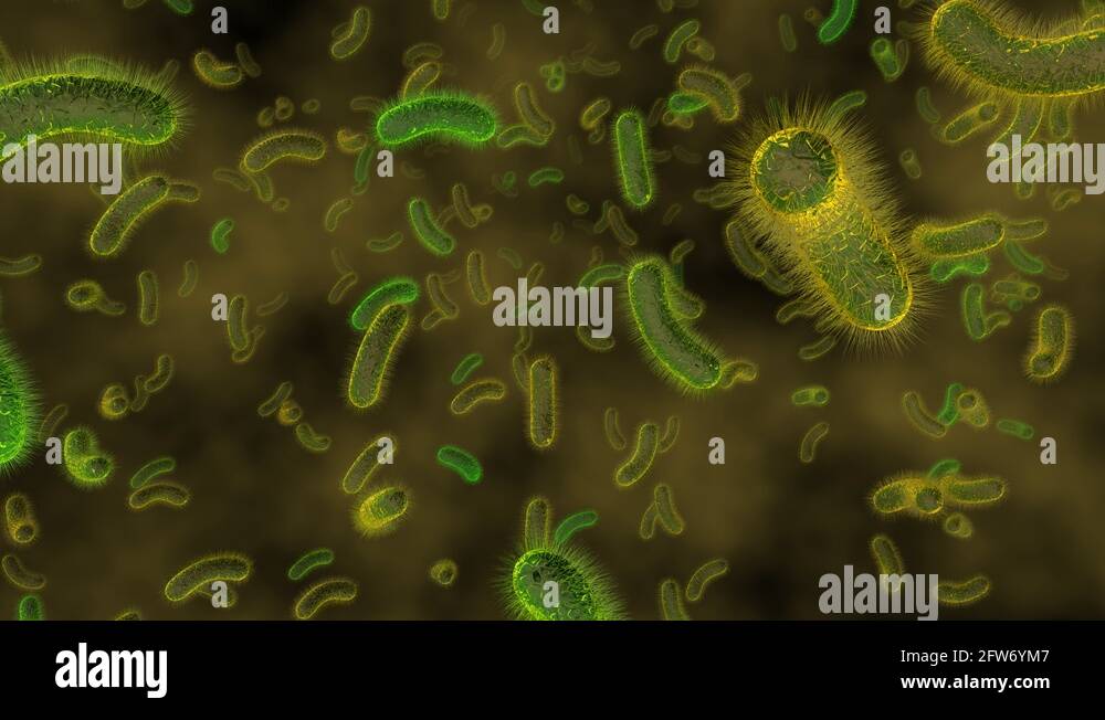 Bacteria cell cg Stock Videos & Footage - HD and 4K Video Clips - Alamy