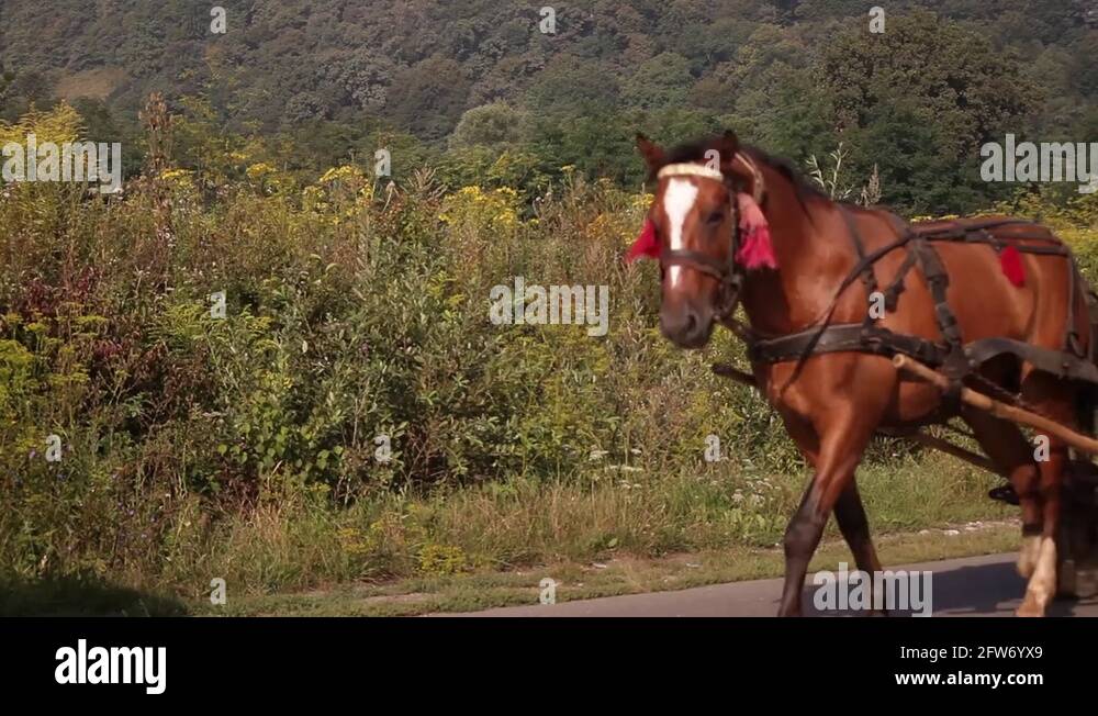 Old daylight road Stock Videos & Footage - HD and 4K Video Clips - Alamy