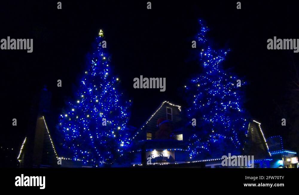 Blue led tree Stock Videos & Footage - HD and 4K Video Clips - Alamy