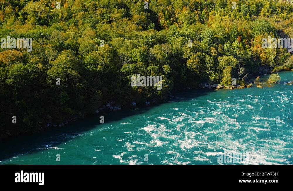 Canadian border forest Stock Videos & Footage - HD and 4K Video Clips ...