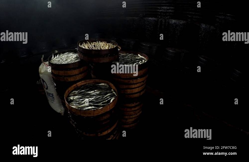 Fish in bamboo Stock Videos & Footage - HD and 4K Video Clips - Alamy