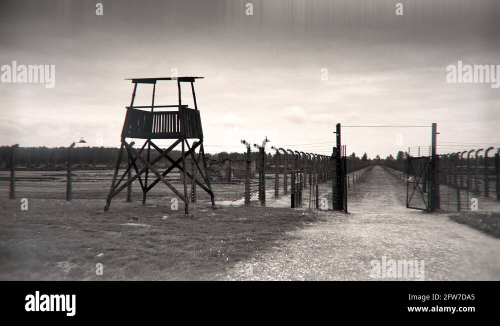 4K Guard Tower Along Barbed Wire Fence, Auschwitz Barracks Stock Video ...