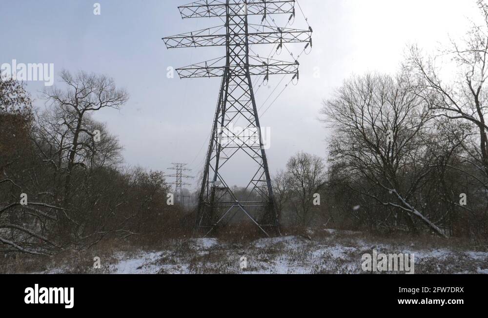 Pylon trees woods Stock Videos & Footage - HD and 4K Video Clips - Alamy