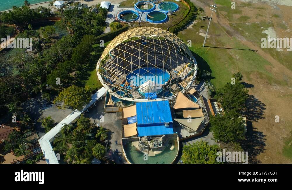 Clamshell Stock Videos & Footage - HD and 4K Video Clips - Alamy
