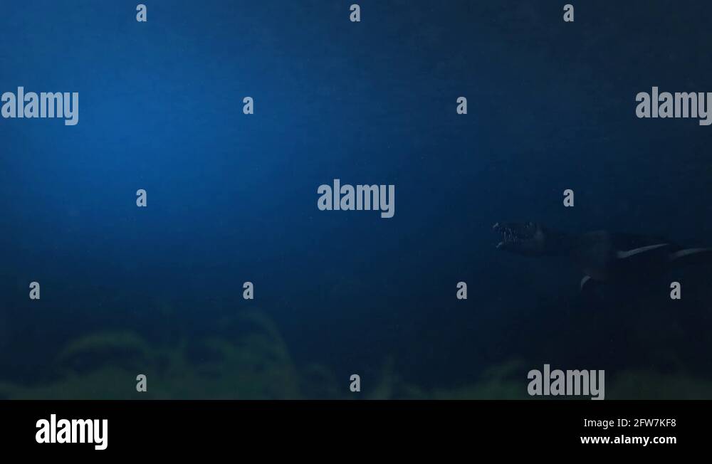 Pachycostasaurus Stock Videos & Footage - HD and 4K Video Clips - Alamy