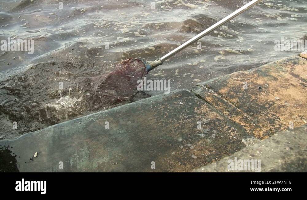 Water Pollution Full HD 1080p Stock Video Footage - Alamy