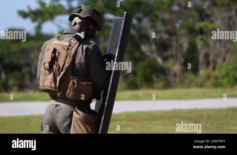 Target identification Stock Videos & Footage - HD and 4K Video Clips ...