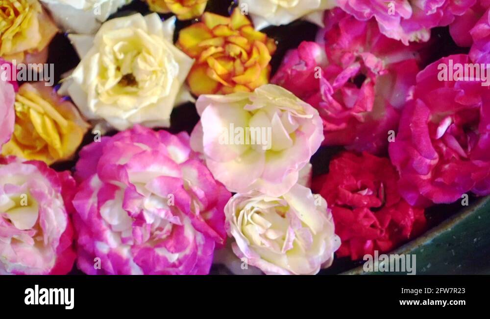 Floating flower decoration Stock Videos & Footage - HD and 4K Video ...