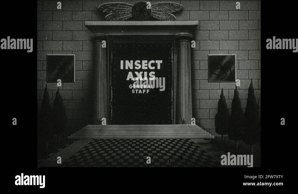 Insect axis general staff Stock Videos & Footage - HD and 4K Video ...