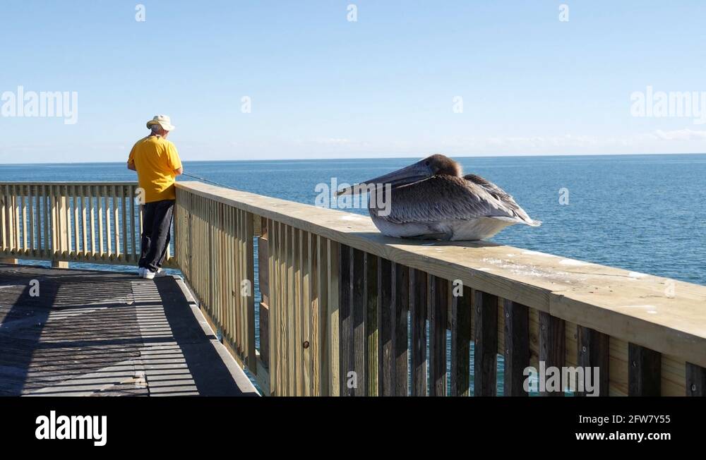 Marine rail Stock Videos & Footage - HD and 4K Video Clips - Alamy