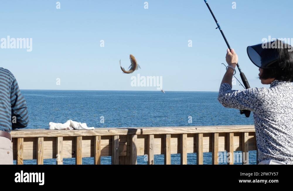 Railing fishing pier Stock Videos & Footage - HD and 4K Video Clips - Alamy