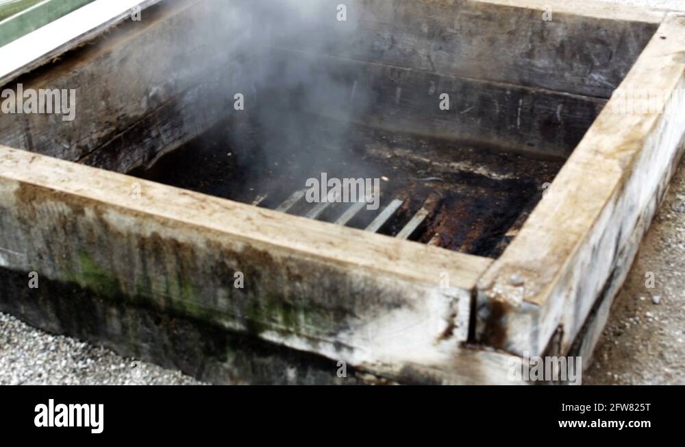 Cooking oven in a geothermal steam vent. Maori method of cooking food ...