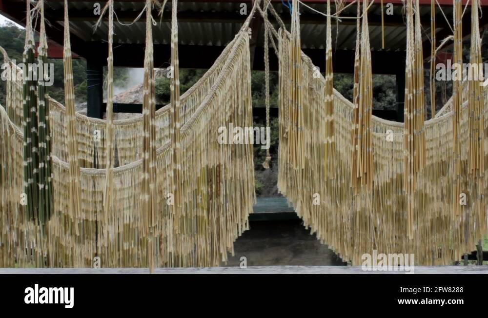 Traditional maori village Stock Videos & Footage - HD and 4K Video ...