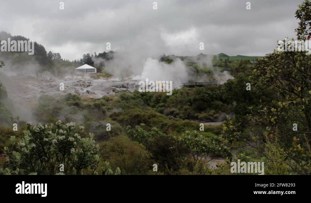 Maori new zealand landscape Stock Videos & Footage - HD and 4K Video ...