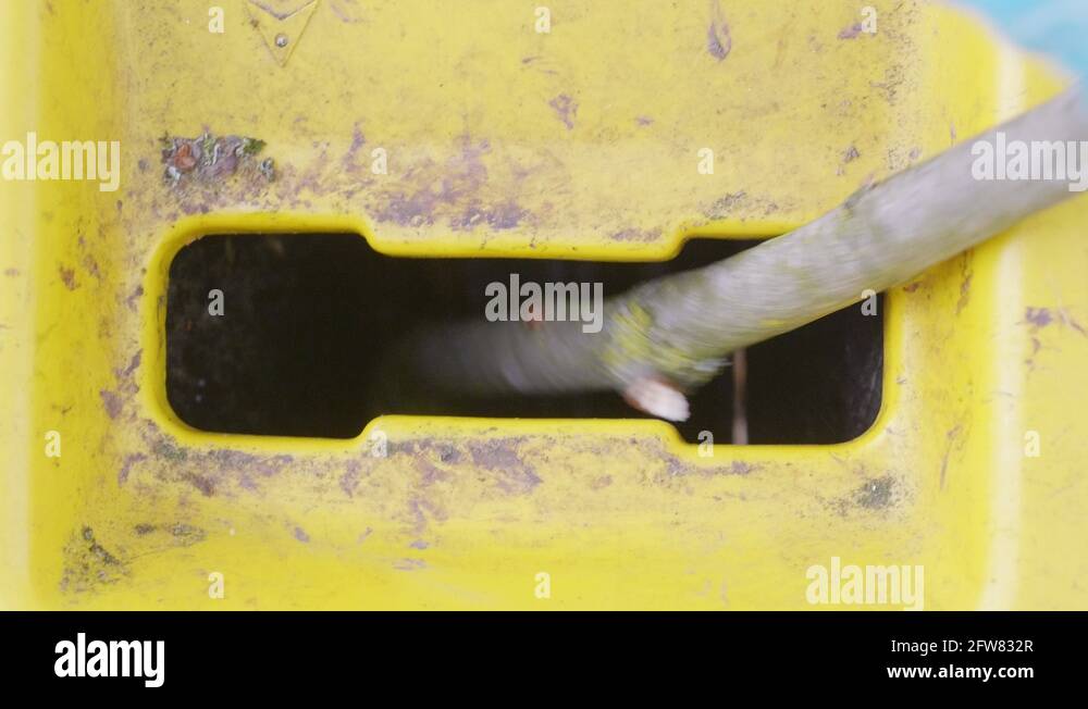 Overhead branches Stock Videos & Footage - HD and 4K Video Clips - Alamy