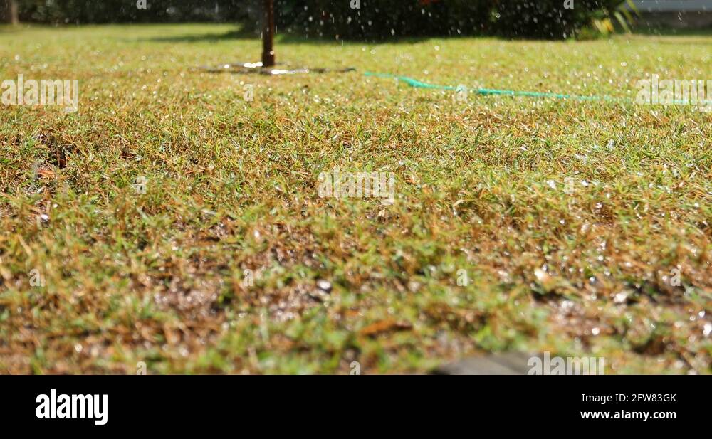 sprinkler splashing water in lawn grass turf Stock Video Footage - Alamy