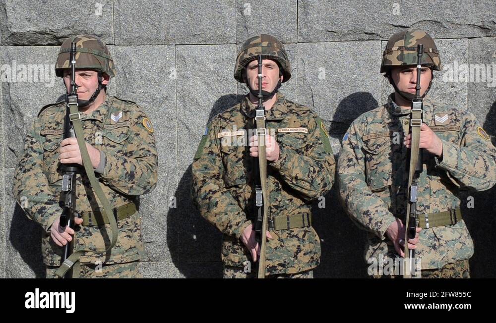 Nato defence forces Stock Videos & Footage - HD and 4K Video Clips - Alamy