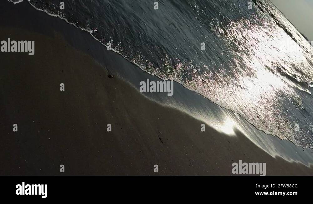 Reflecting the sun off of the sand Stock Videos & Footage - HD and 4K ...