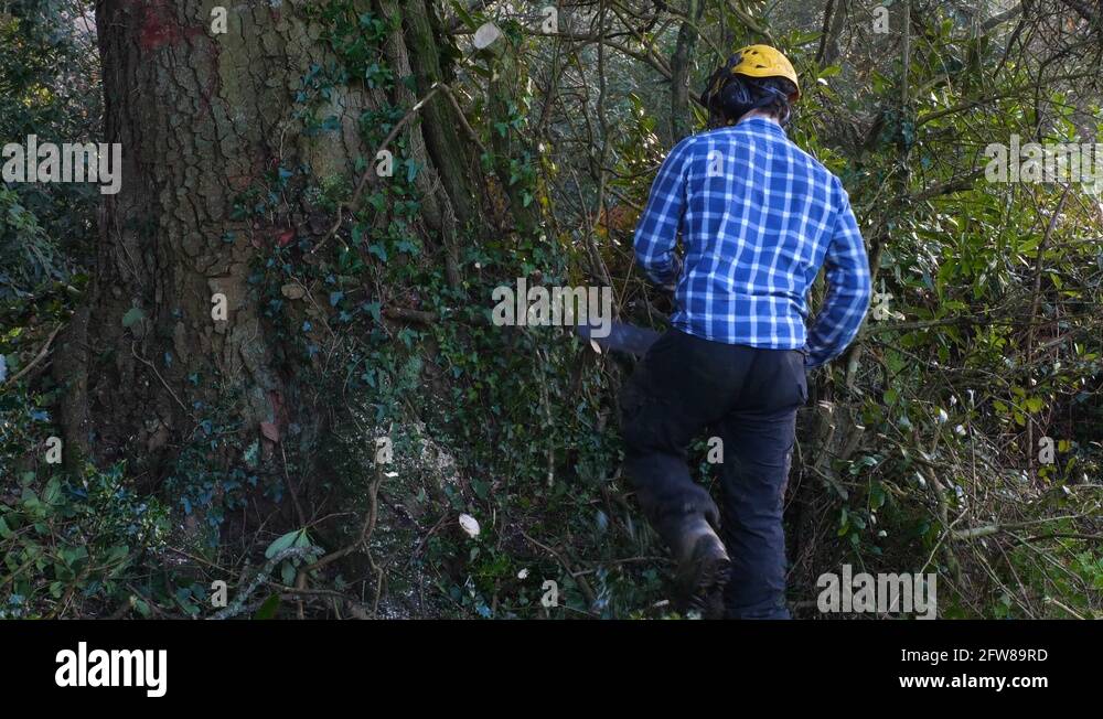 Vegetation clearing Stock Videos & Footage - HD and 4K Video Clips - Alamy