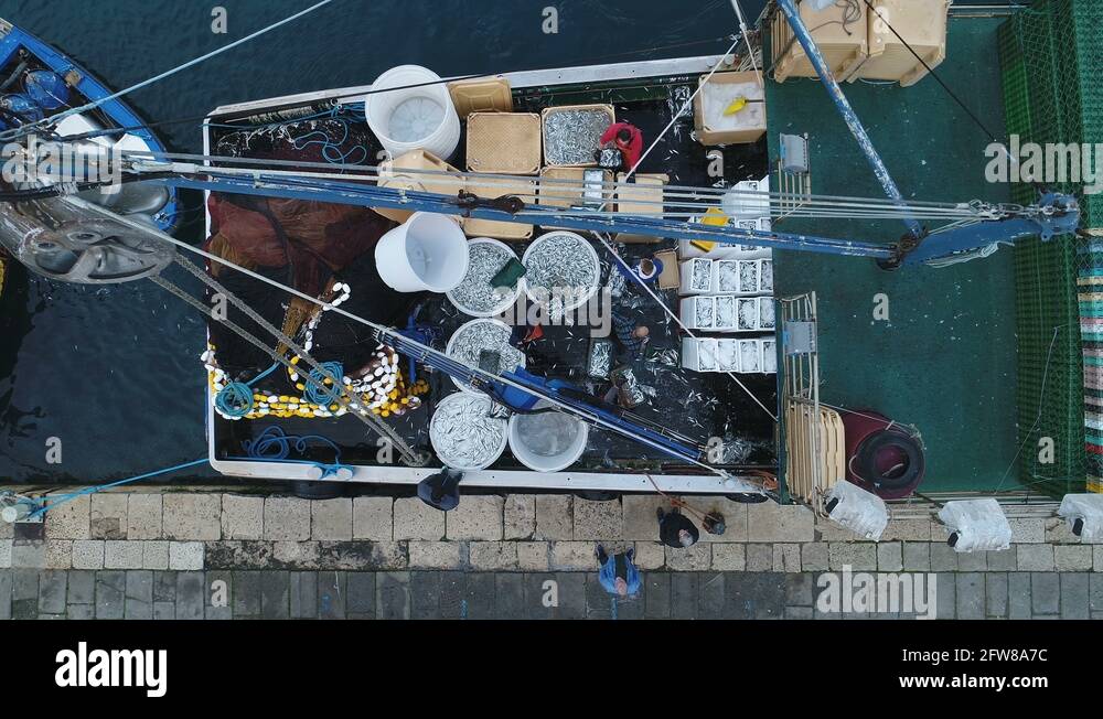 Port fish trawler Stock Videos & Footage - HD and 4K Video Clips - Alamy