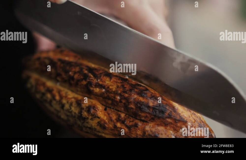 Exotic fruits cut open Stock Videos & Footage - HD and 4K Video Clips ...