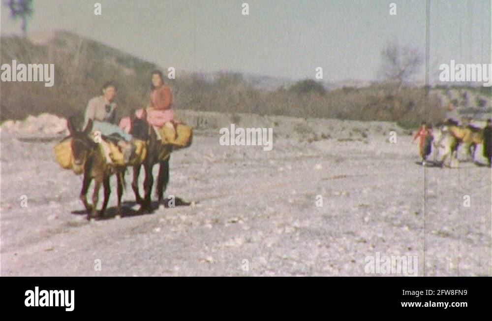 Donkeys spain Stock Videos & Footage - HD and 4K Video Clips - Alamy