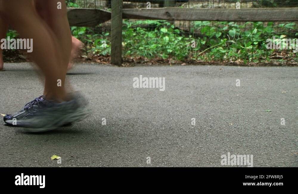 Walking with guide Stock Videos & Footage - HD and 4K Video Clips - Alamy