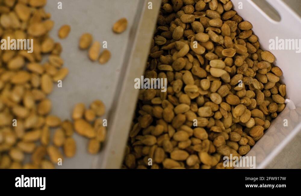Process of peanut processing, Production process of roasted peanuts ...