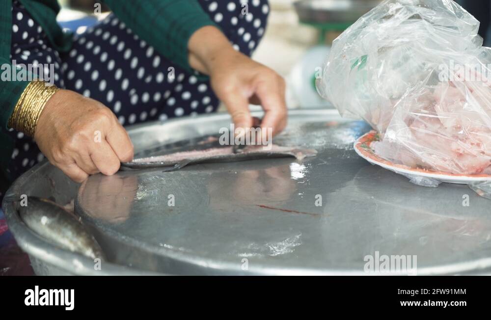 Fish evisceration Stock Videos & Footage - HD and 4K Video Clips - Alamy