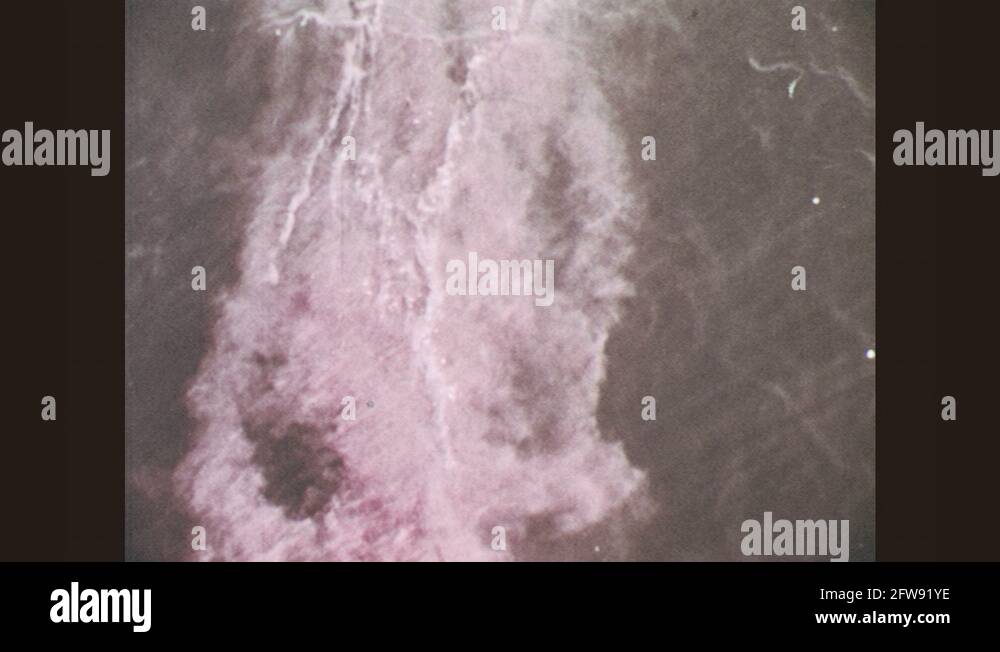 1950s: Above water top down view of plankton bloom. View of flock of ...