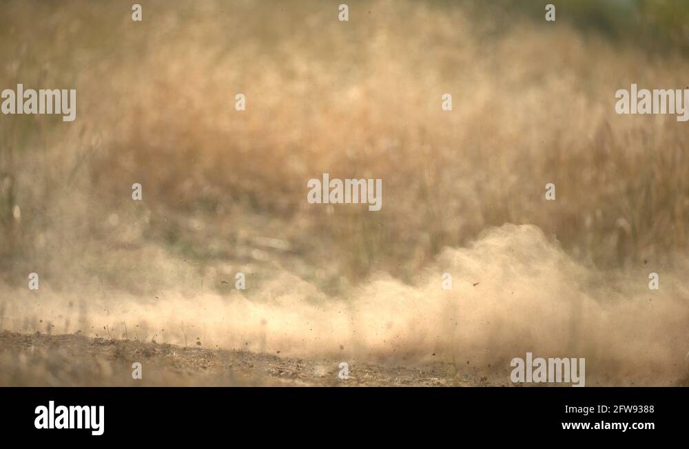 Dust and grass Stock Videos & Footage - HD and 4K Video Clips - Alamy