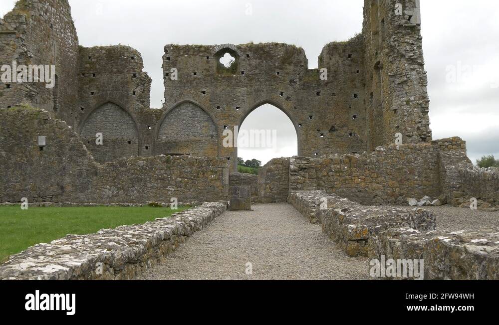 Clover shape Stock Videos & Footage - HD and 4K Video Clips - Alamy