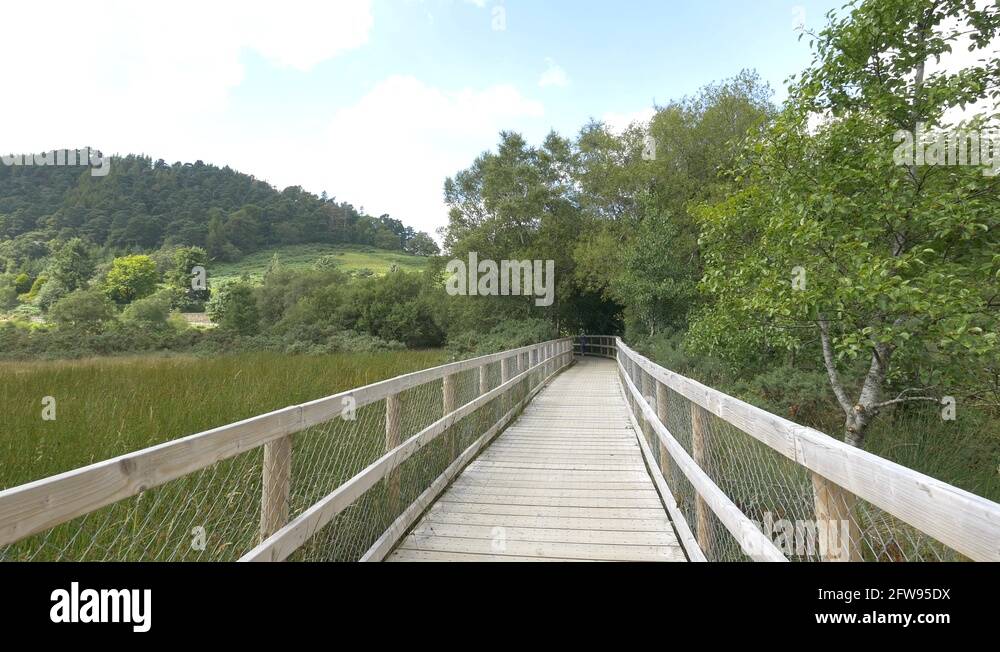 Wooden promenade Stock Videos & Footage - HD and 4K Video Clips - Alamy