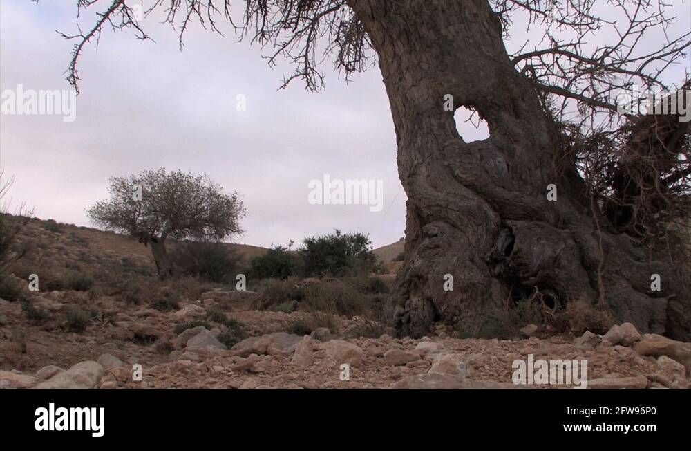 Greek desert Stock Videos & Footage - HD and 4K Video Clips - Alamy