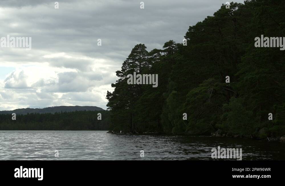 Loch ness trees Stock Videos & Footage - HD and 4K Video Clips - Alamy