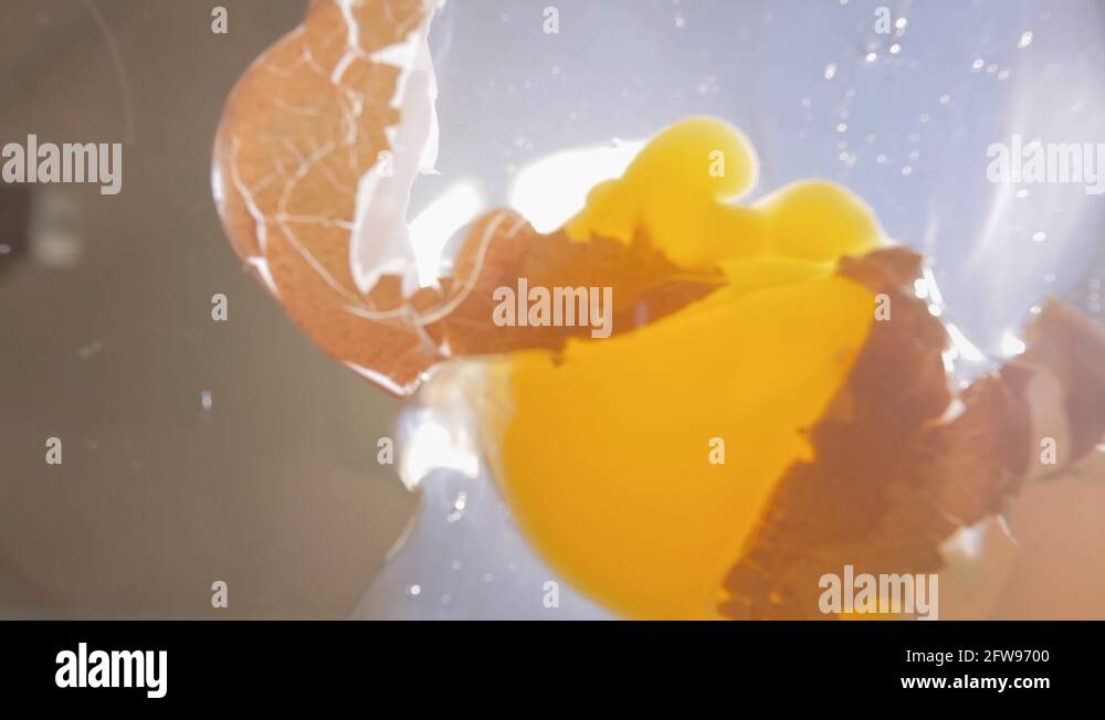 Egg splat Stock Videos & Footage - HD and 4K Video Clips - Alamy