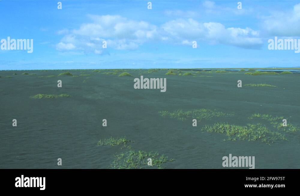 Ash landscape Stock Videos & Footage - HD and 4K Video Clips - Alamy