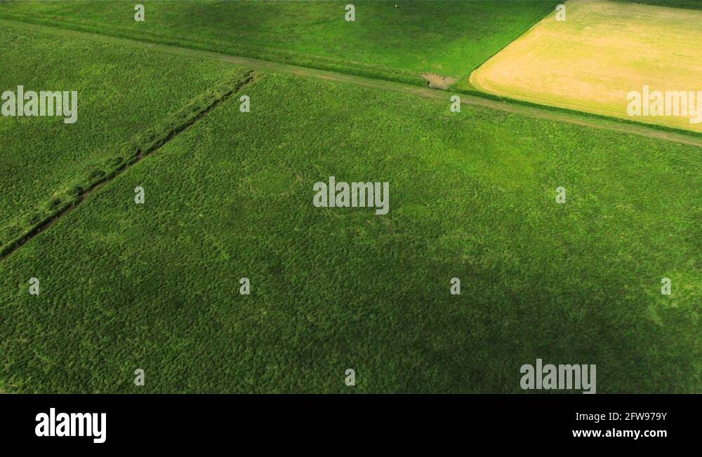 Agricultural crop land Stock Videos & Footage - HD and 4K Video Clips ...