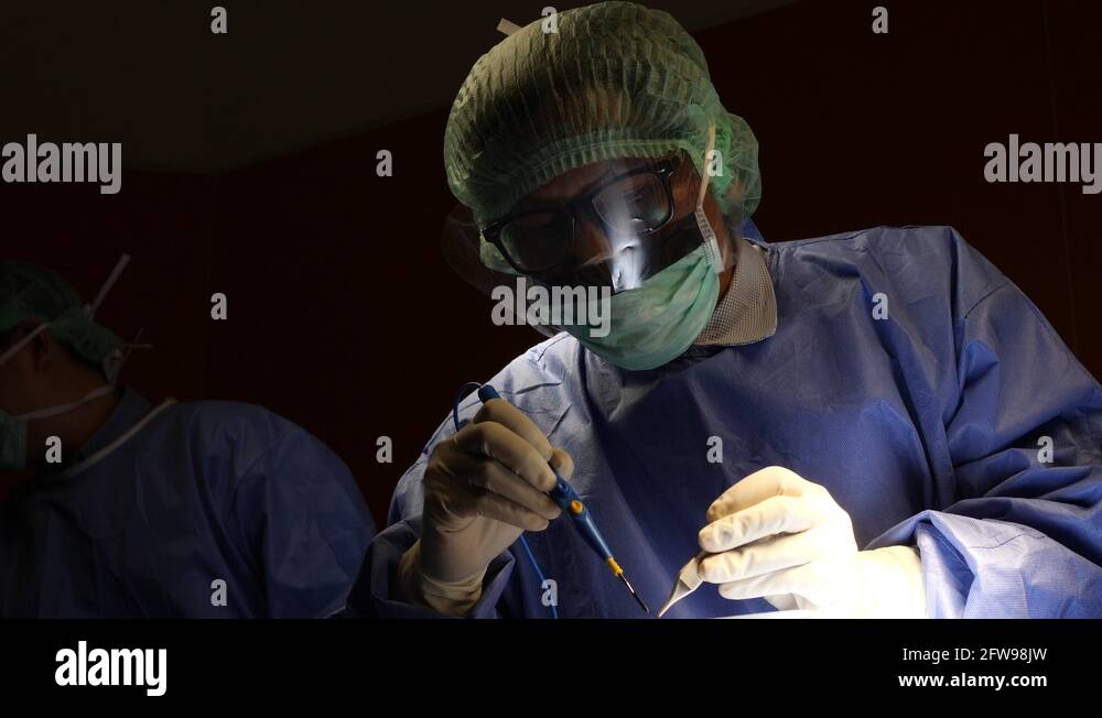 Veterinary operating room Stock Videos & Footage - HD and 4K Video ...