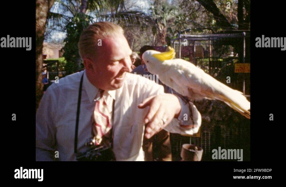 Secret zoo Stock Videos & Footage - HD and 4K Video Clips - Alamy