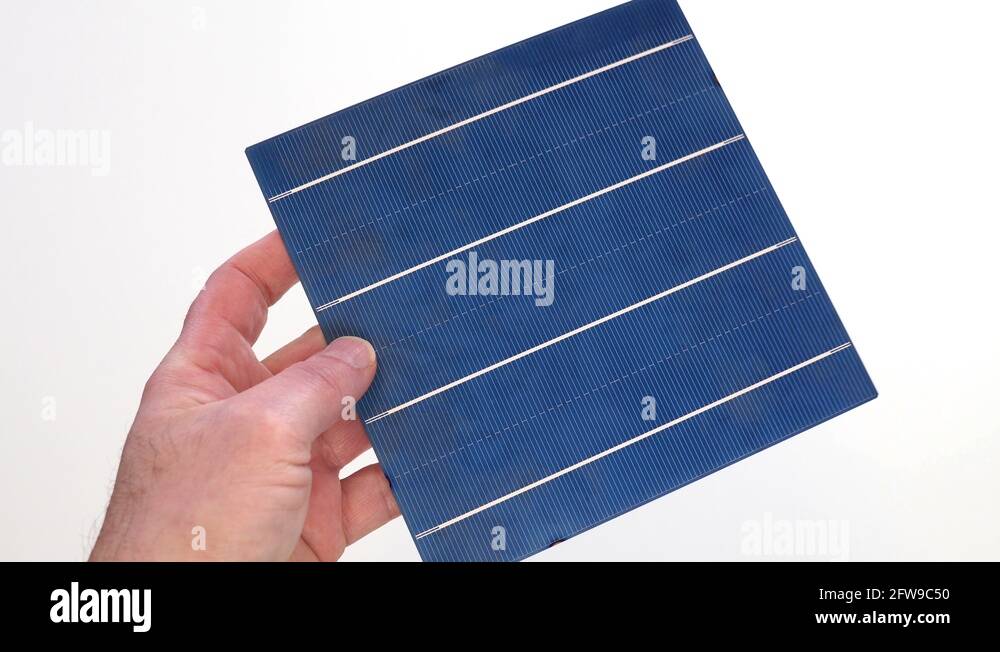 Cell inspection Stock Videos & Footage - HD and 4K Video Clips - Alamy