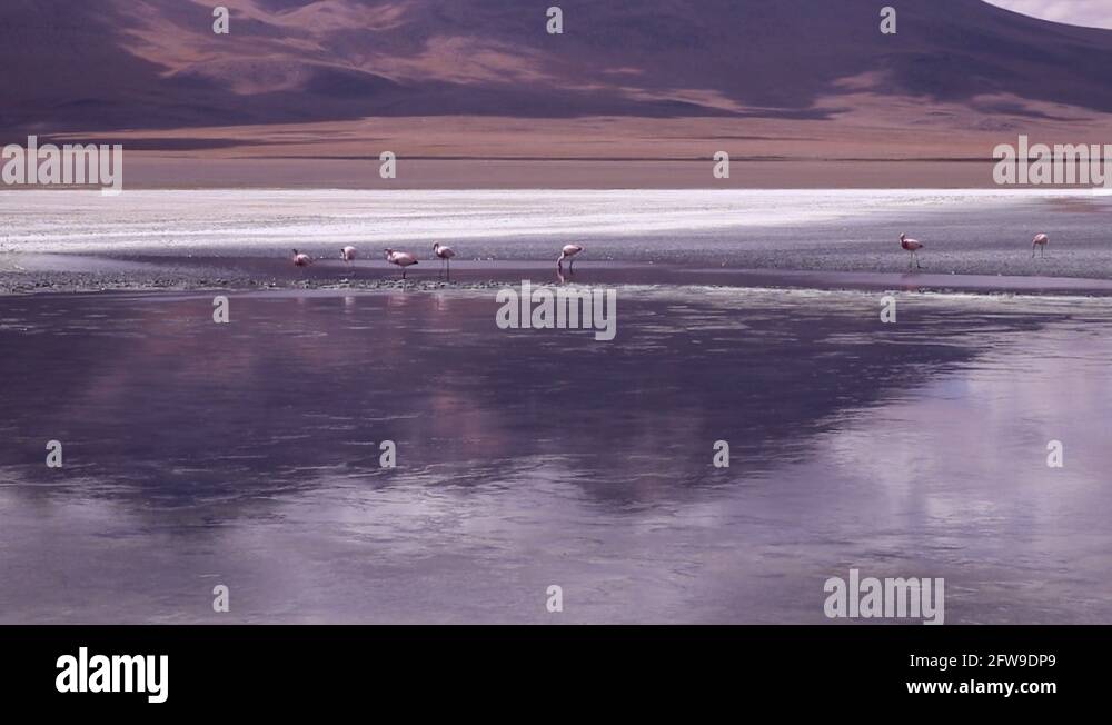 Red lagoon Stock Videos & Footage - HD and 4K Video Clips - Alamy