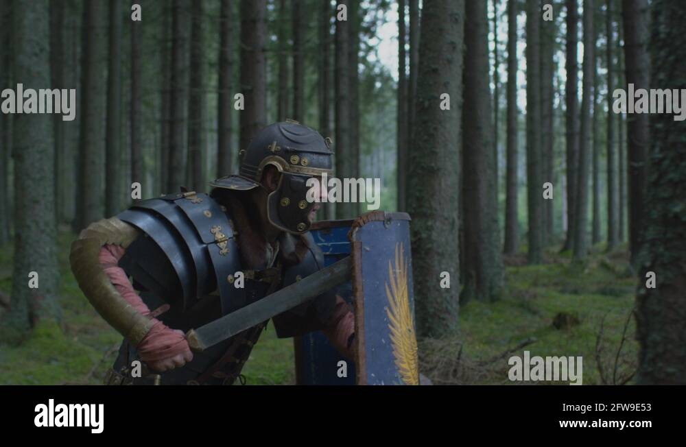 Two warriors fighting in the woods Stock Video Footage - Alamy