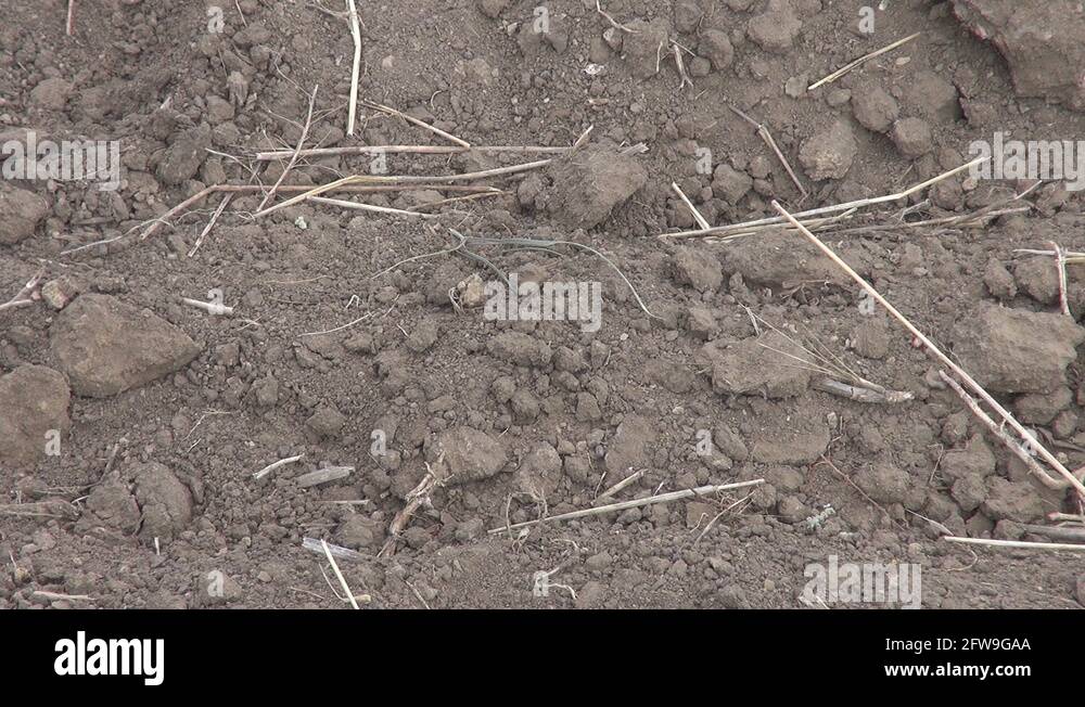 Mud earth ground soil Stock Videos & Footage - HD and 4K Video Clips ...