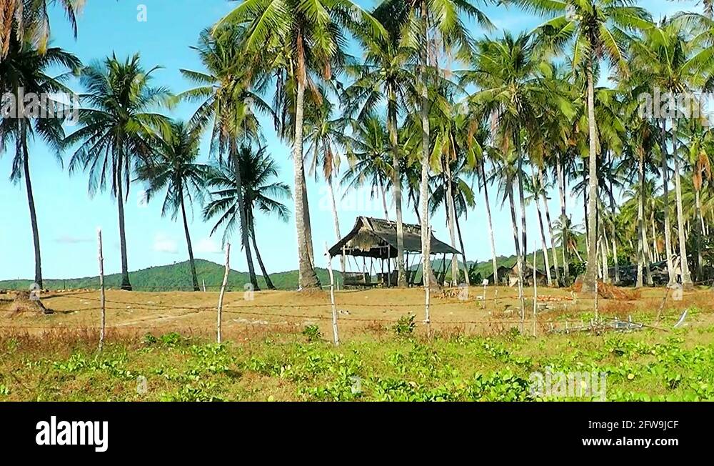 Philippine village on the beach Nacpan. The island of Palawan ...