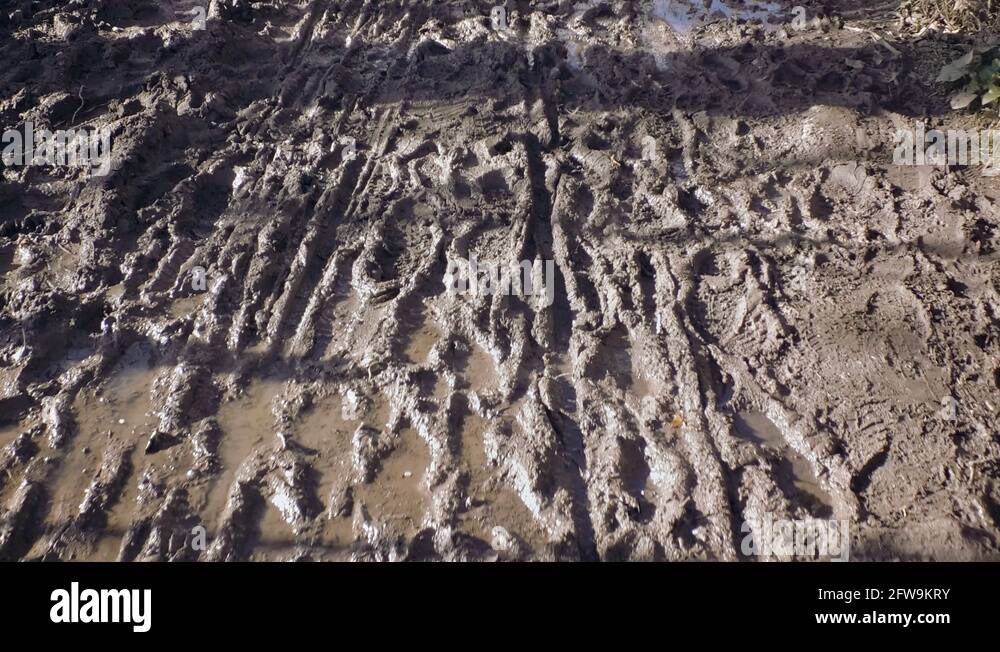 Wet mud texture Stock Videos & Footage - HD and 4K Video Clips - Alamy