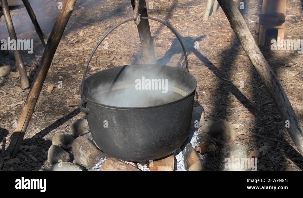 Sap boiling Stock Videos & Footage - HD and 4K Video Clips - Alamy